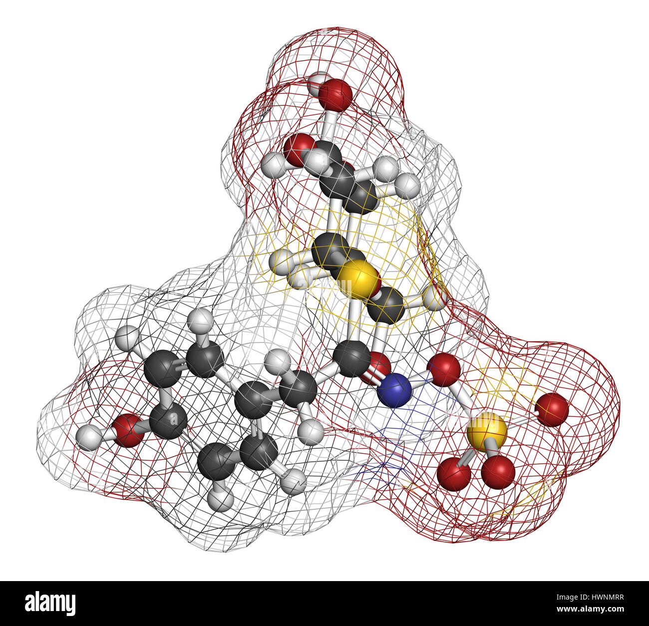 Sinalbin glucosinolate molecule hi-res stock photography and images - Alamy
