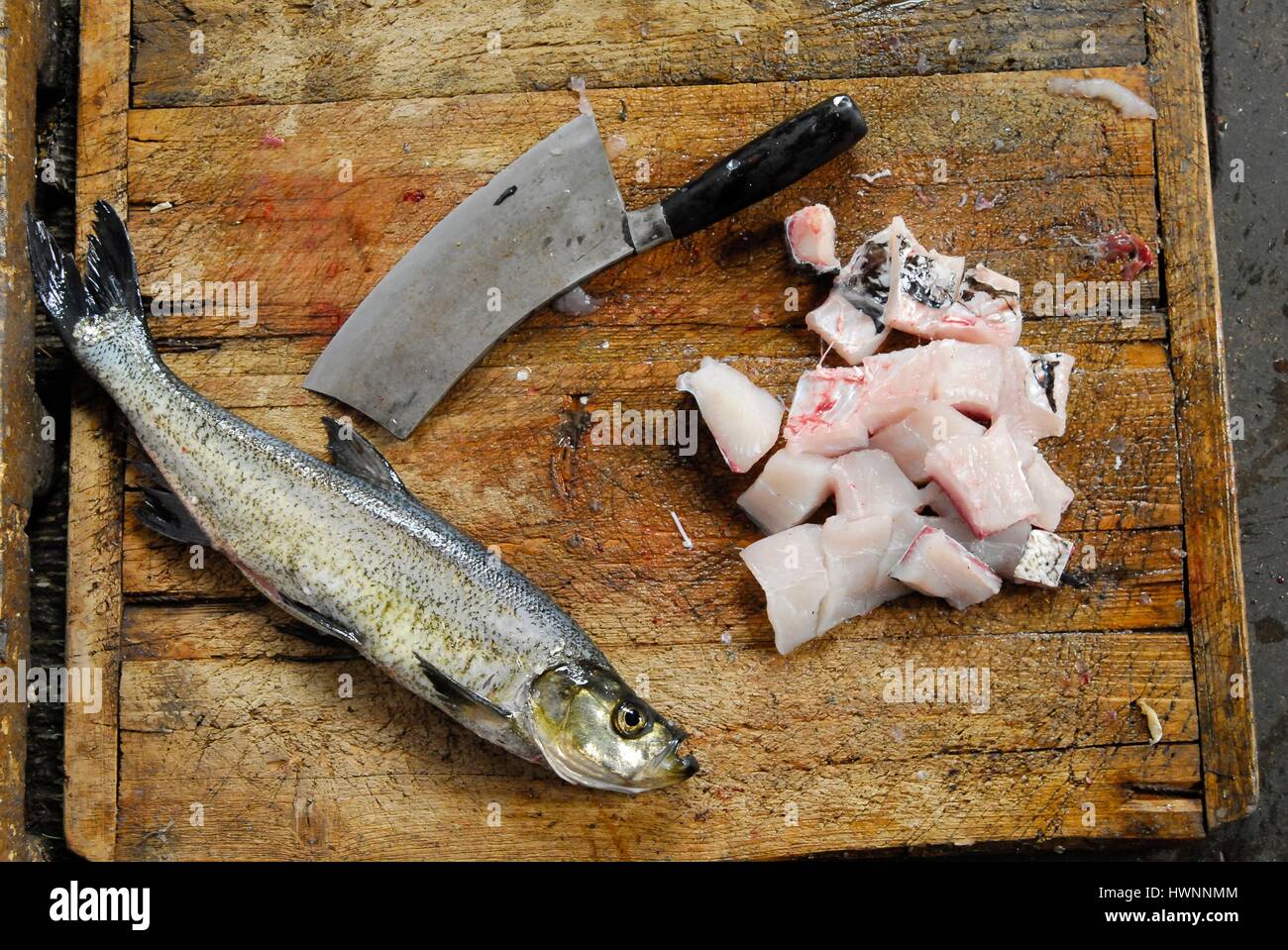 Fish china hangzhou hi-res stock photography and images - Alamy
