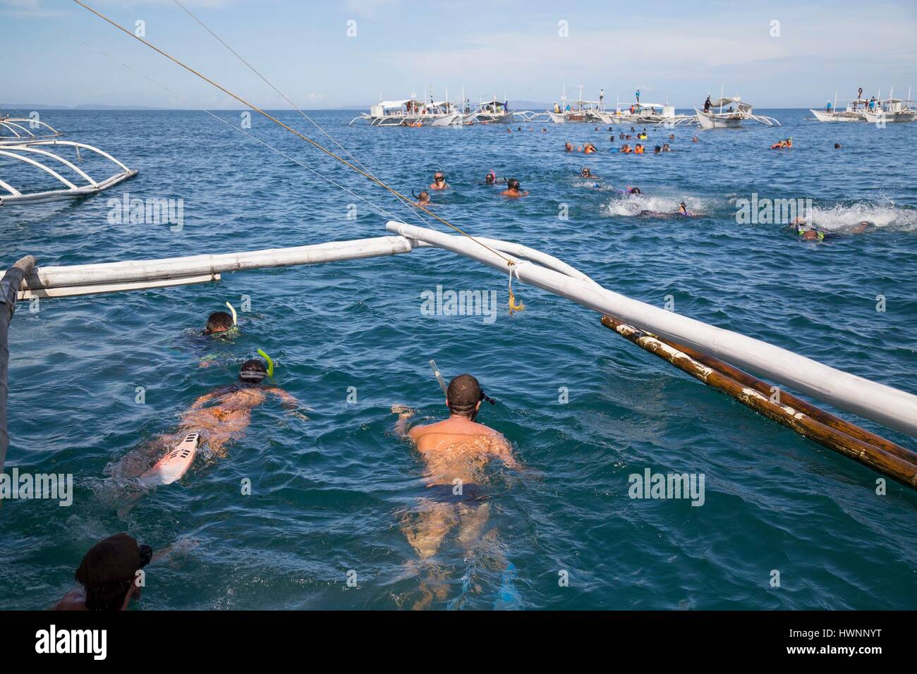 Philippines, Luzon, Sorsogon Province, Donsol, tourists swimming with ...