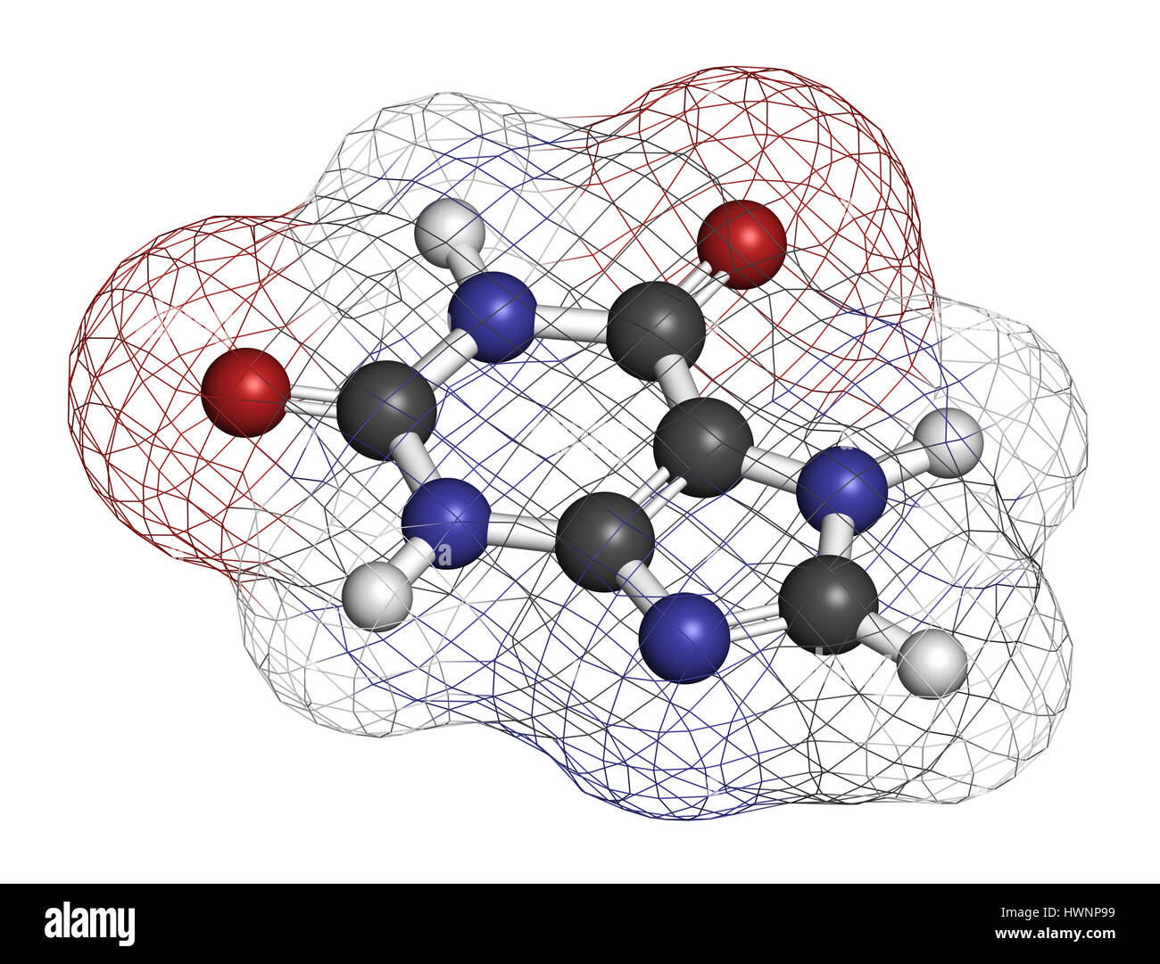 Xanthine purine base molecule. 3D rendering. Atoms are represented as ...