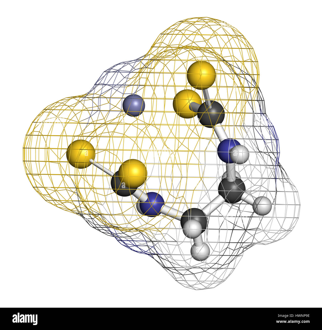 Zineb Cut Out Stock Images & Pictures - Alamy