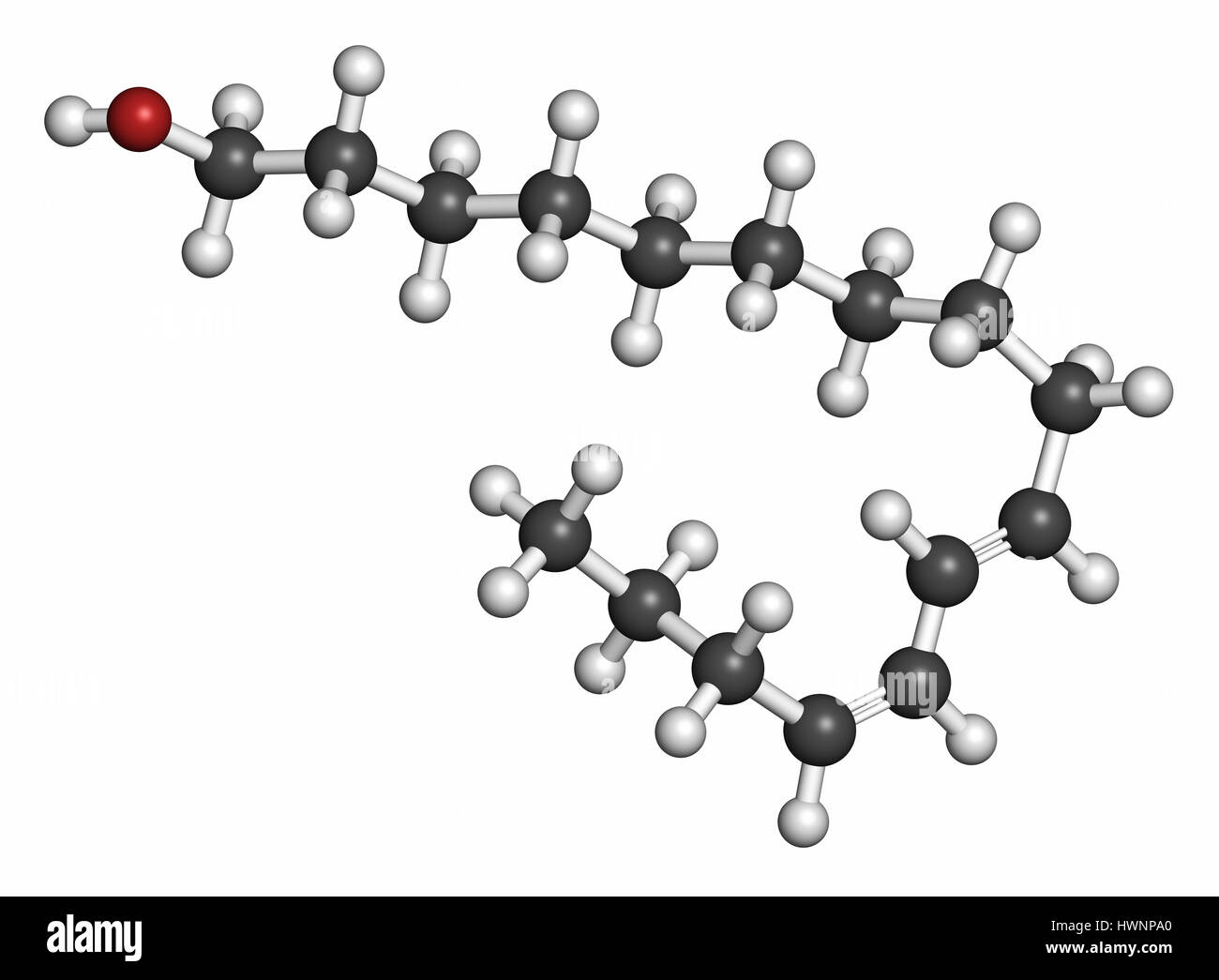 Bombykol insect pheromone molecule. 3D rendering. Atoms are represented ...