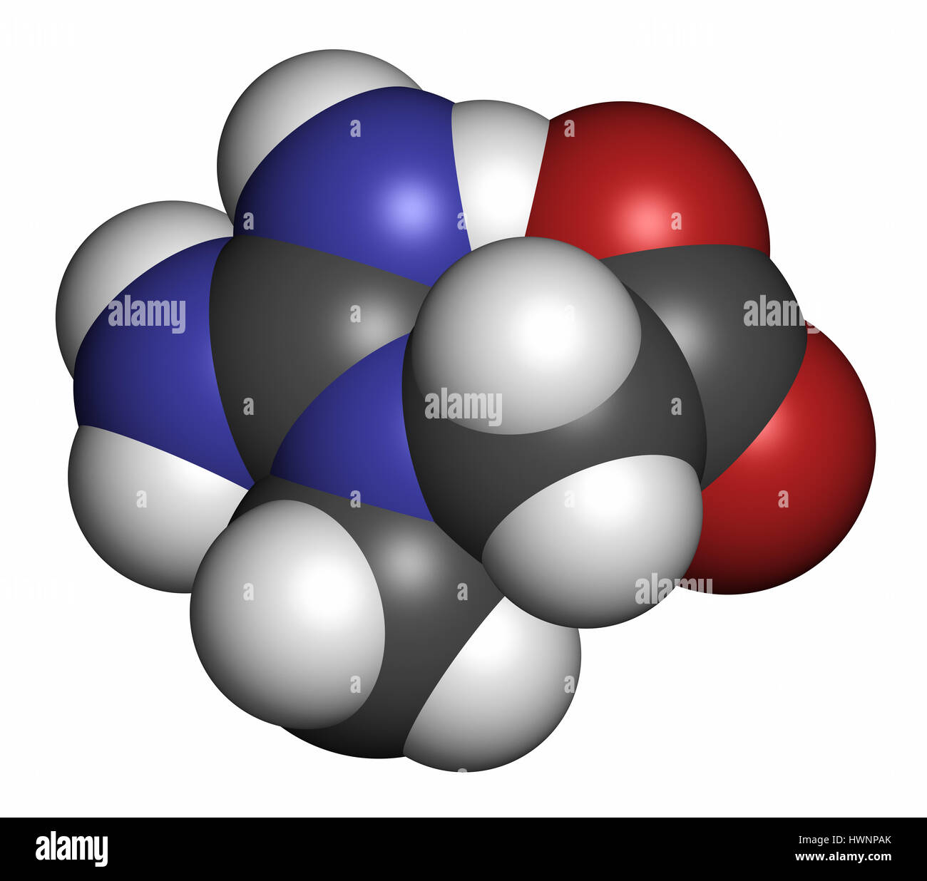 Creatine molecule. Often used in food supplements. 3D rendering. Atoms ...