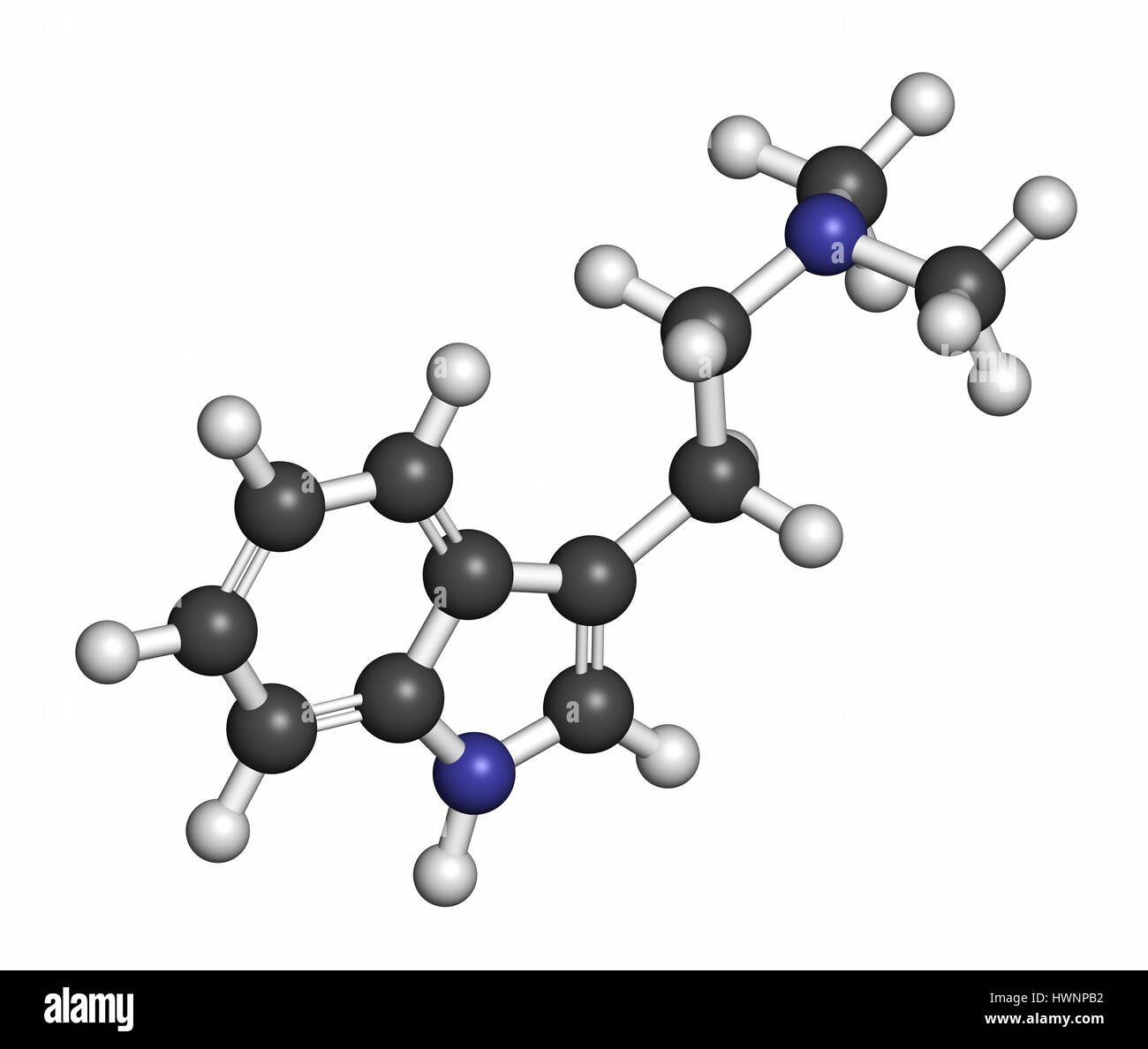 Dimethyltryptamine Molecule Structure