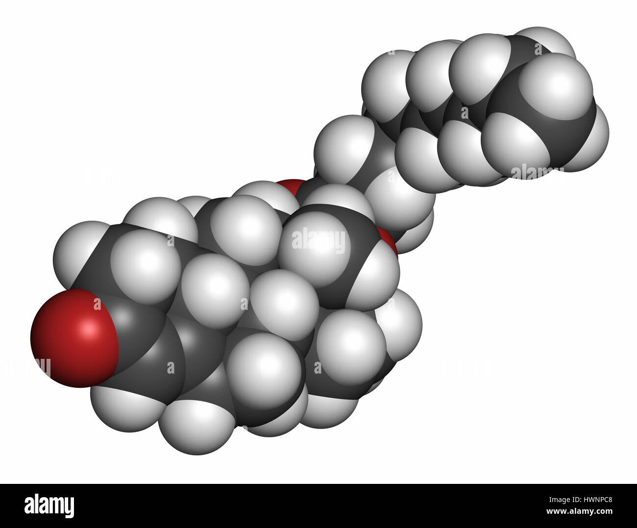 Nandrolone decanoate anabolic steroid drug molecule. Also used in ...