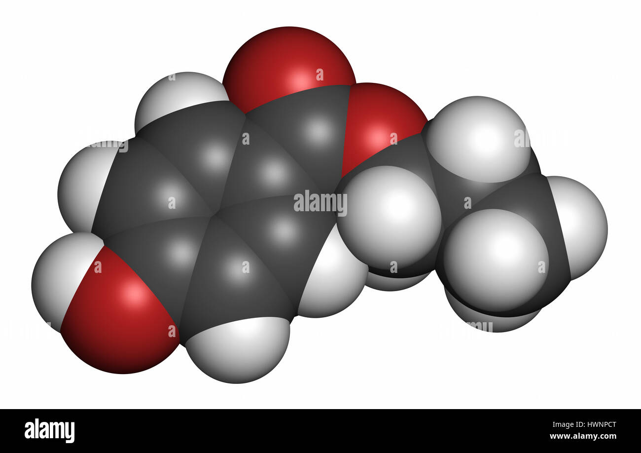 Propylparaben preservative molecule (paraben class). 3D rendering ...
