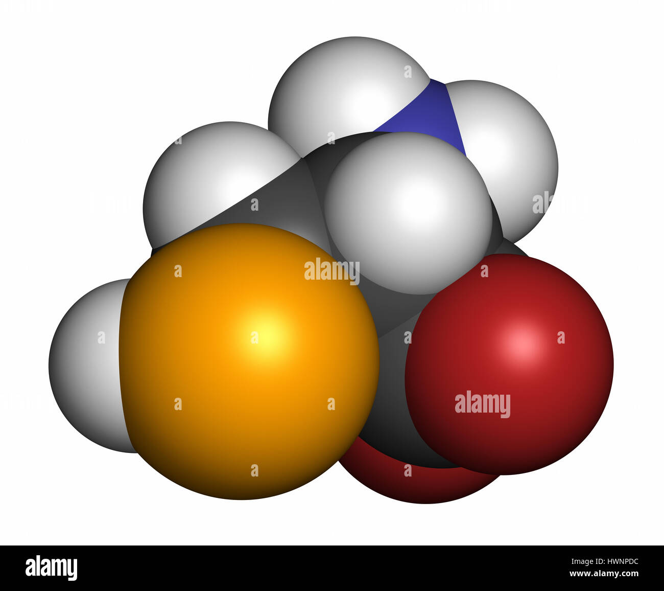 Selenocysteine amino acid molecule hi-res stock photography and images ...