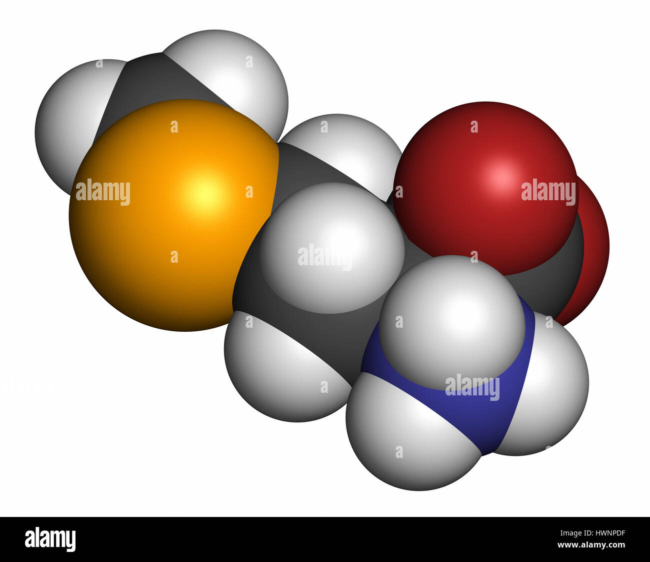Selenomethionine amino acid molecule. Selenium containing natural ...