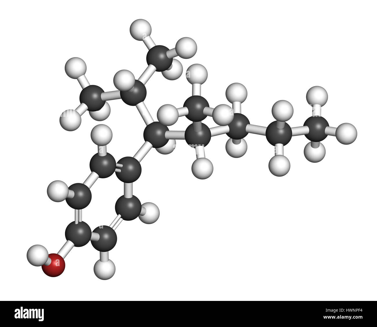 Nonylphenol endocrine disruptor molecule (one isomer shown). 3D ...