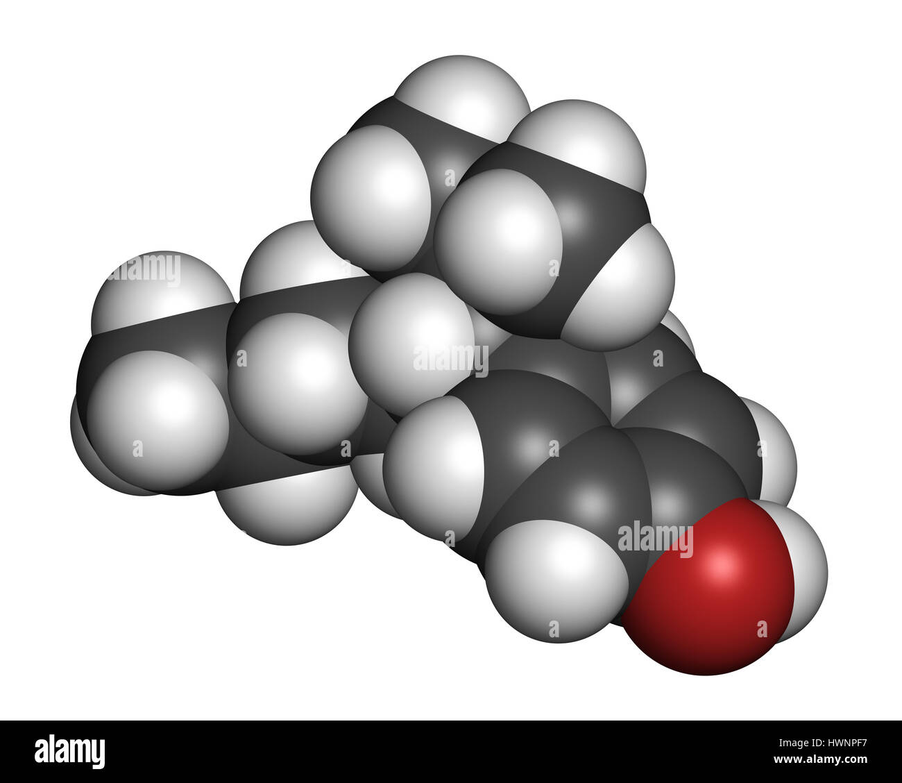 Nonylphenol endocrine disruptor molecule (one isomer shown). 3D ...