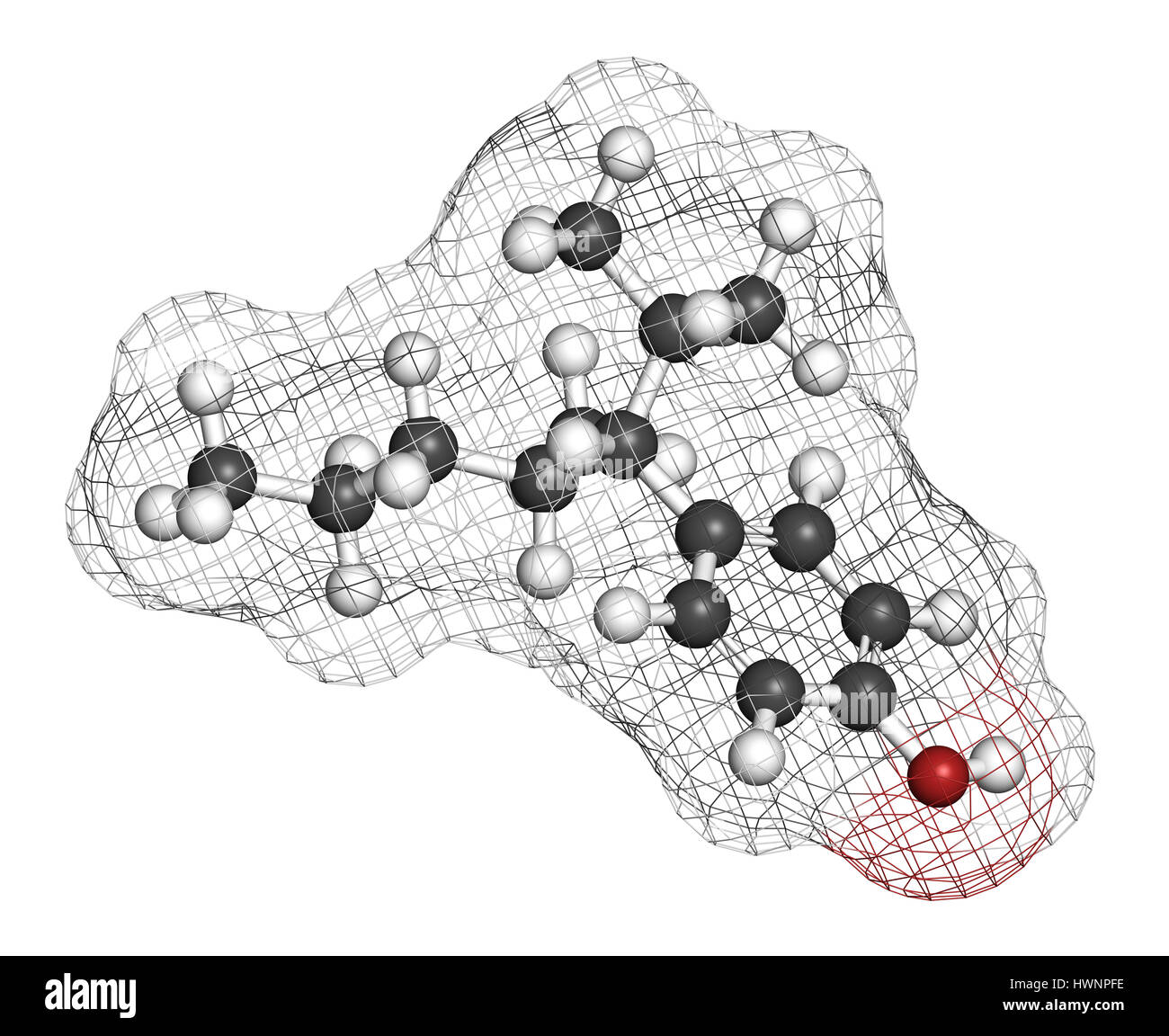 Nonylphenol endocrine disruptor molecule (one isomer shown). 3D ...