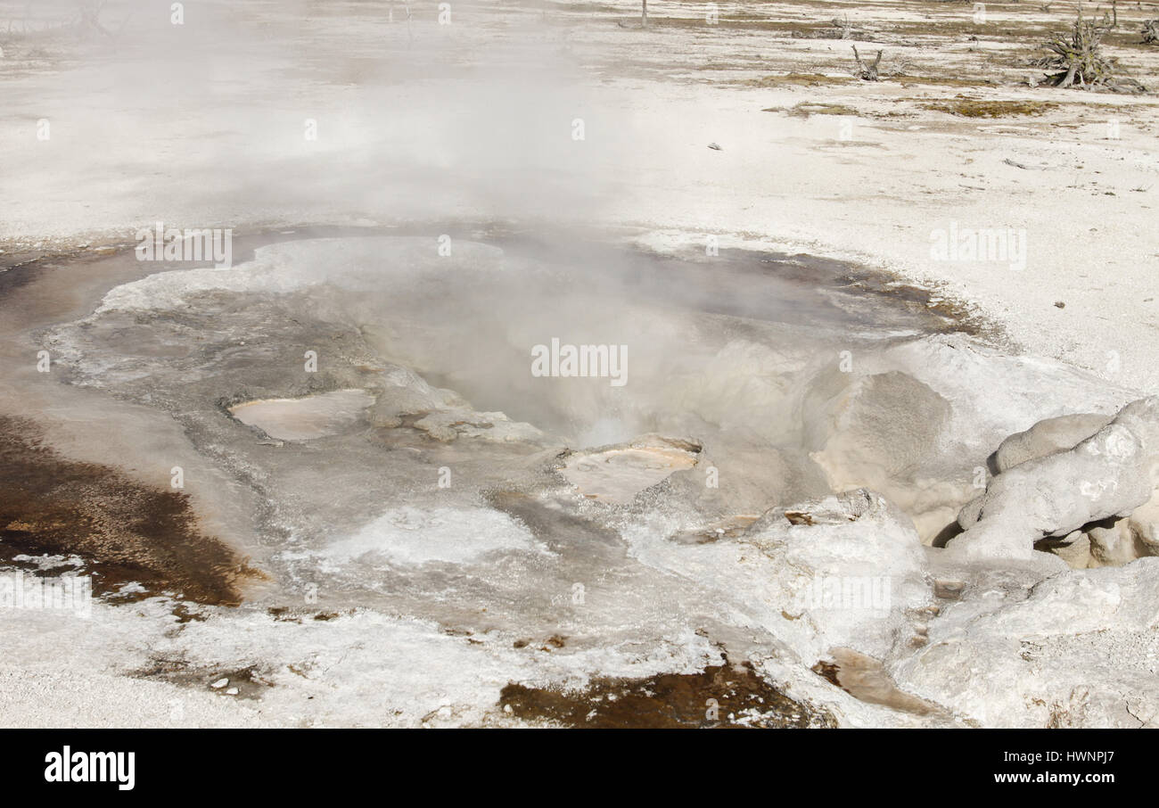 Steam rises from the Avoca Spring in the Biscuit Geyser Basin at ...