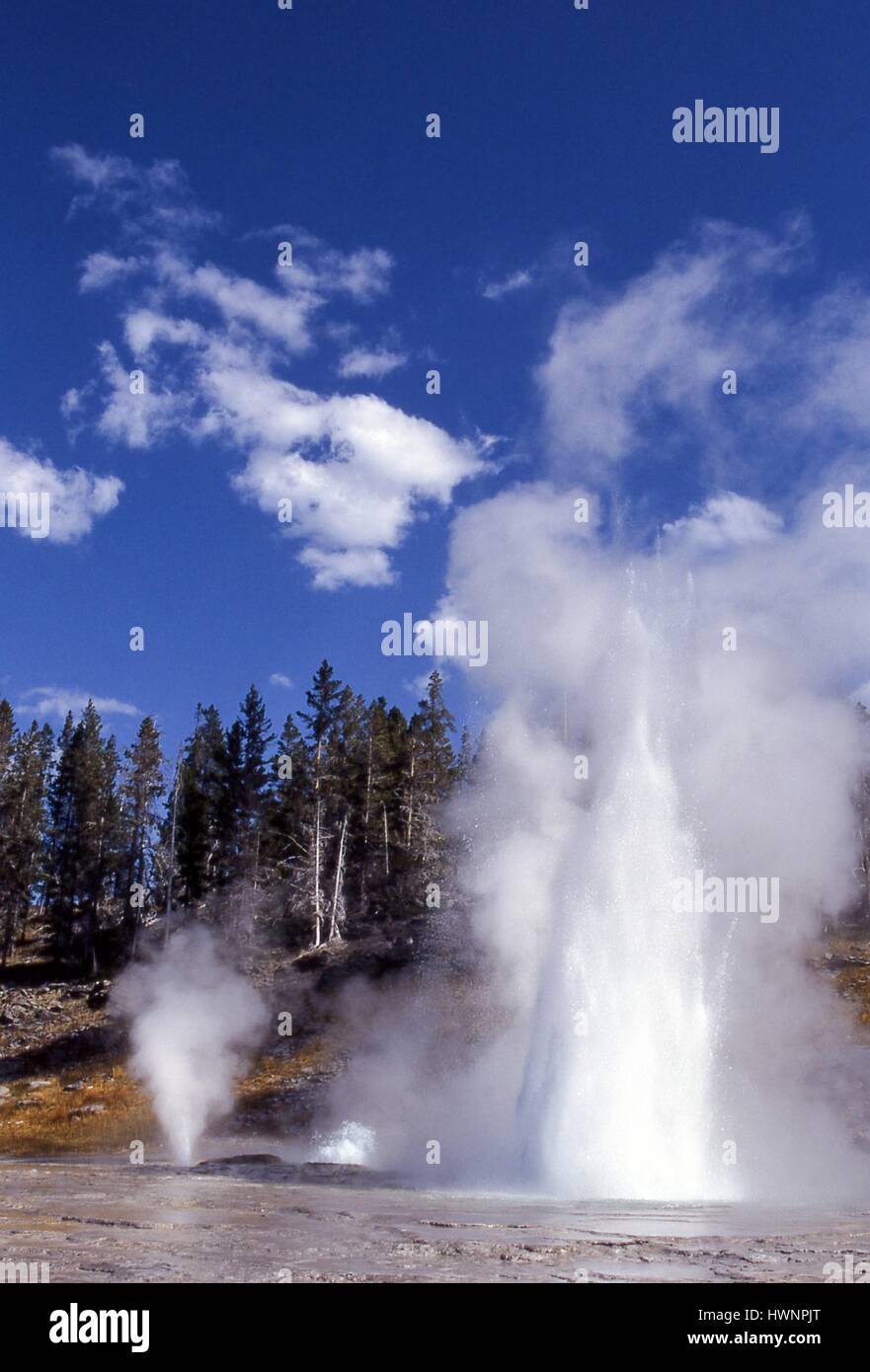 Vent-Turban-Grand Geyser in the Upper Geyser Basin at Yellowstone ...