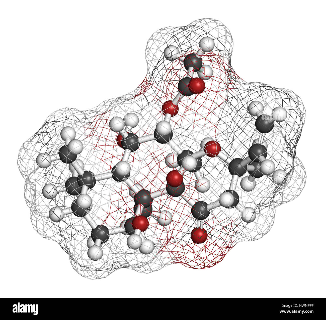 Forskolin (coleonol) molecule. Activates the enzyme adenylyl cyclase ...