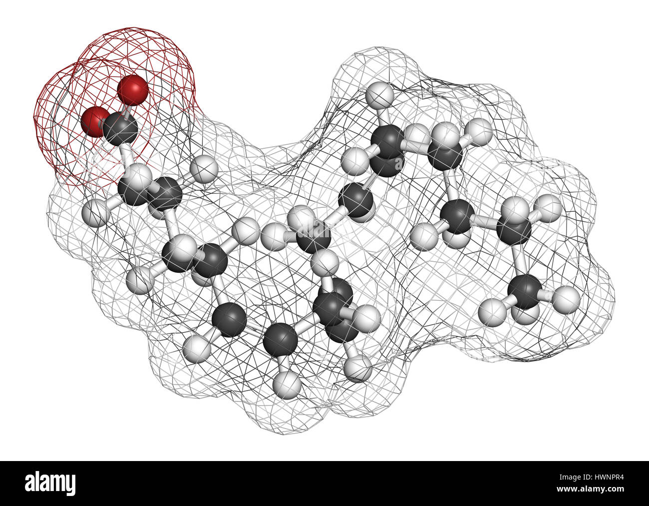 Gamma-linolenic acid (GLA, gamolenic acid) molecule. Omega-6 fatty acid ...