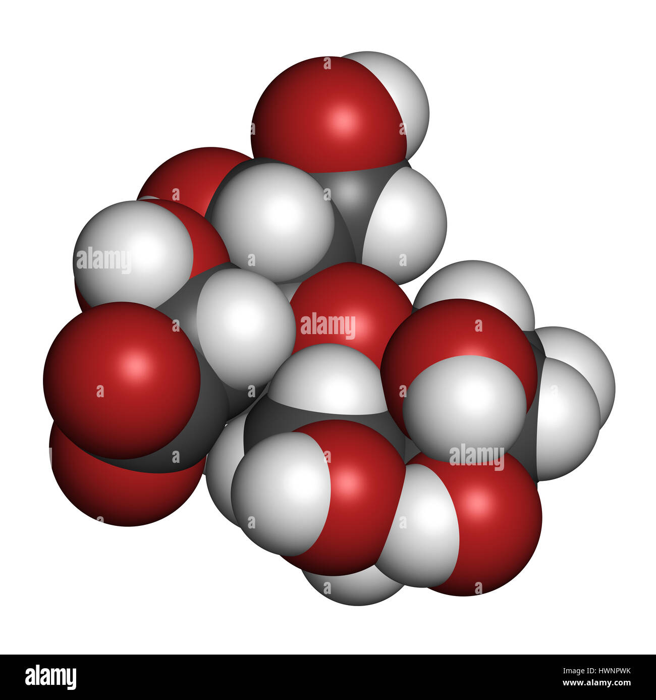 Lactobionic acid (lactobionate) molecule. Commonly used additive in ...