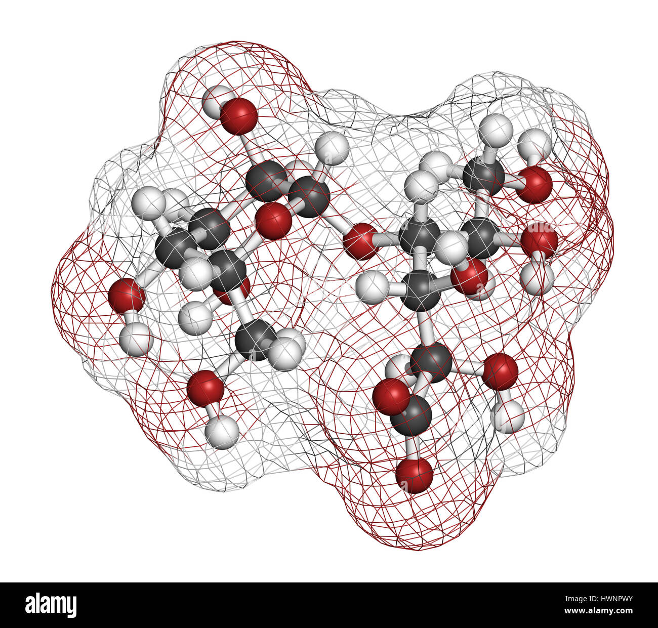 Lactobionic acid (lactobionate) molecule. Commonly used additive in ...