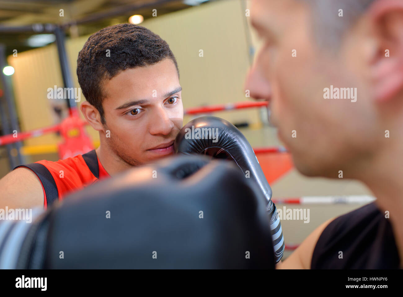 Male teen boxing sparring hi-res stock photography and images - Alamy