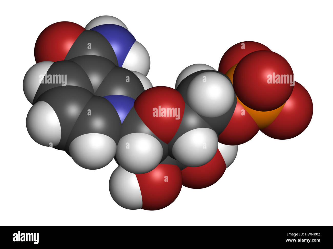 Nicotinamide mononucleotide molecule. Precursor of NAD+. 3D rendering ...