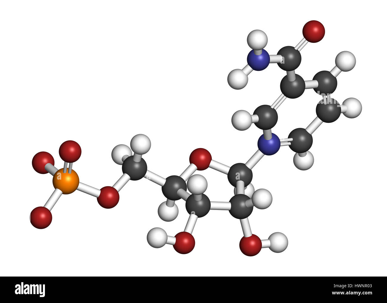 Nicotinamide mononucleotide hi-res stock photography and images - Alamy