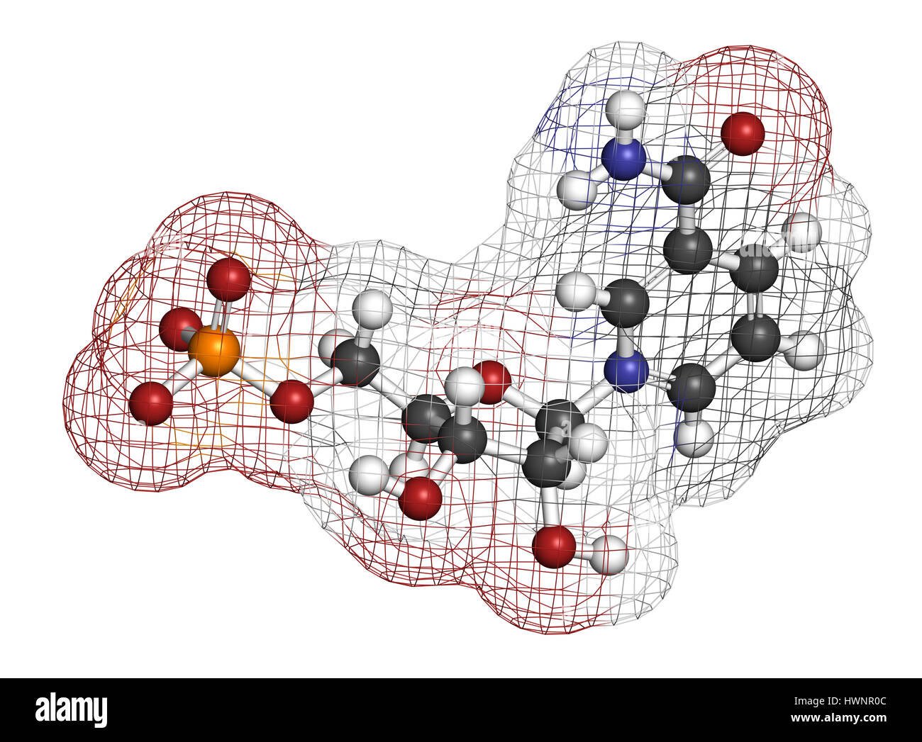 Nicotinamide mononucleotide molecule. Precursor of NAD+. 3D rendering ...