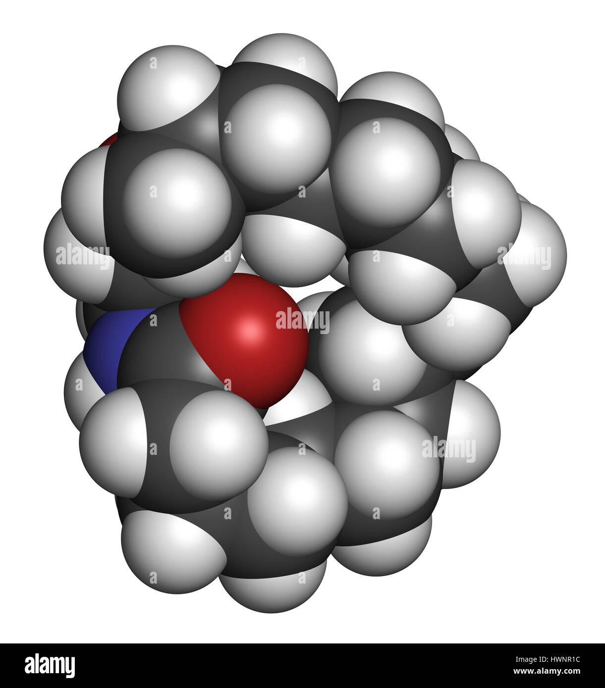 Endogenous agonist hi-res stock photography and images - Alamy