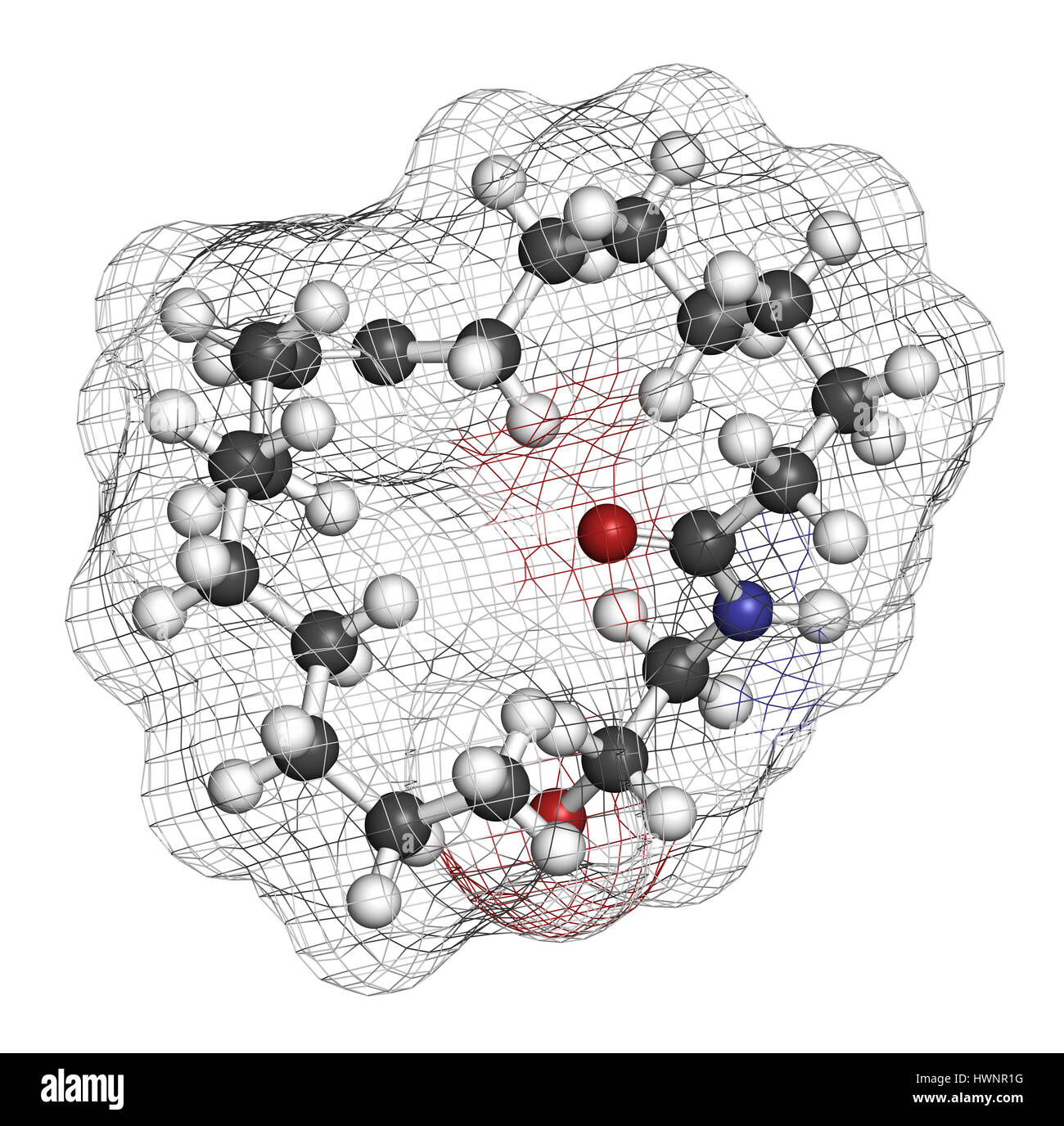 Peroxisome proliferator activated receptor alpha hi-res stock ...