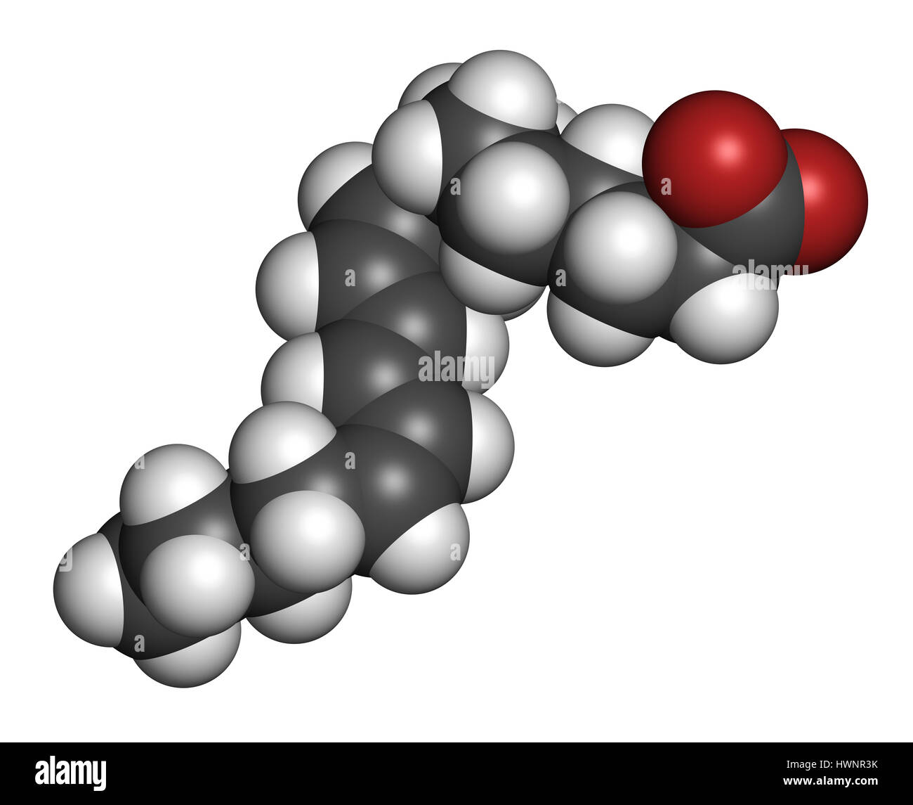 Punicic acid (trichosanic acid) molecule. Fatty acid present in ...