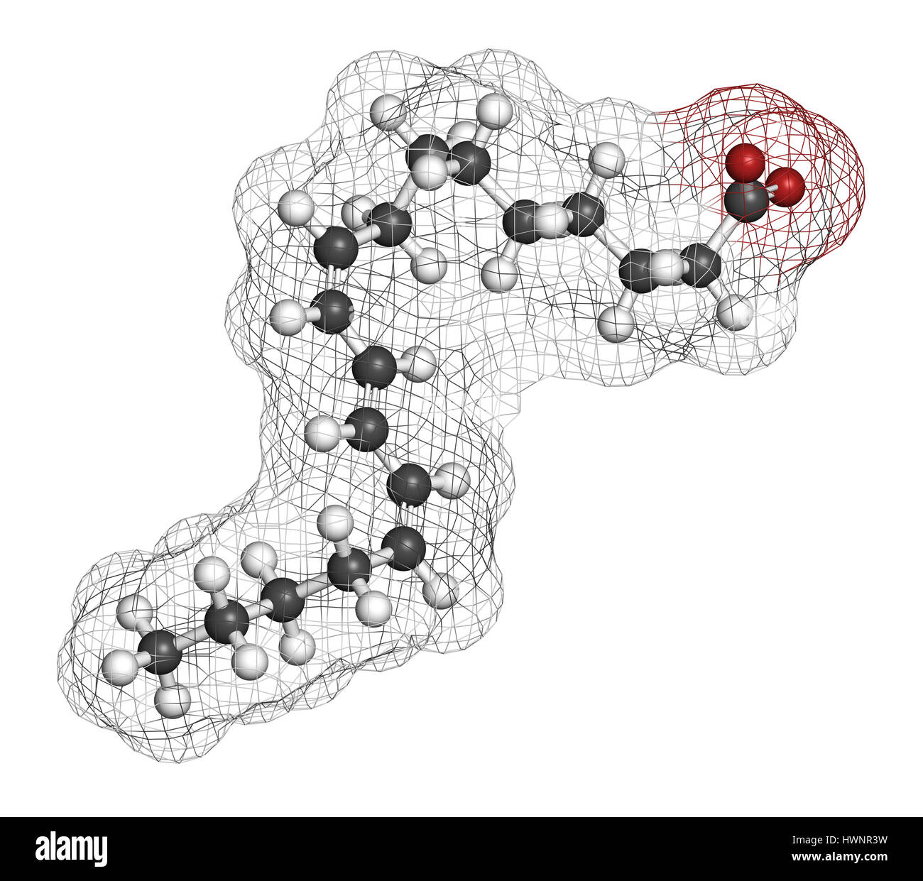 Punicic acid (trichosanic acid) molecule. Fatty acid present in ...