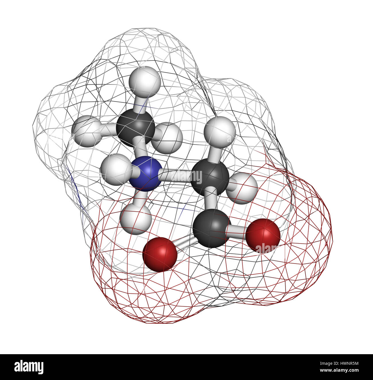 Sarcosine (N-methylglycine) molecule. 3D rendering. Atoms are ...
