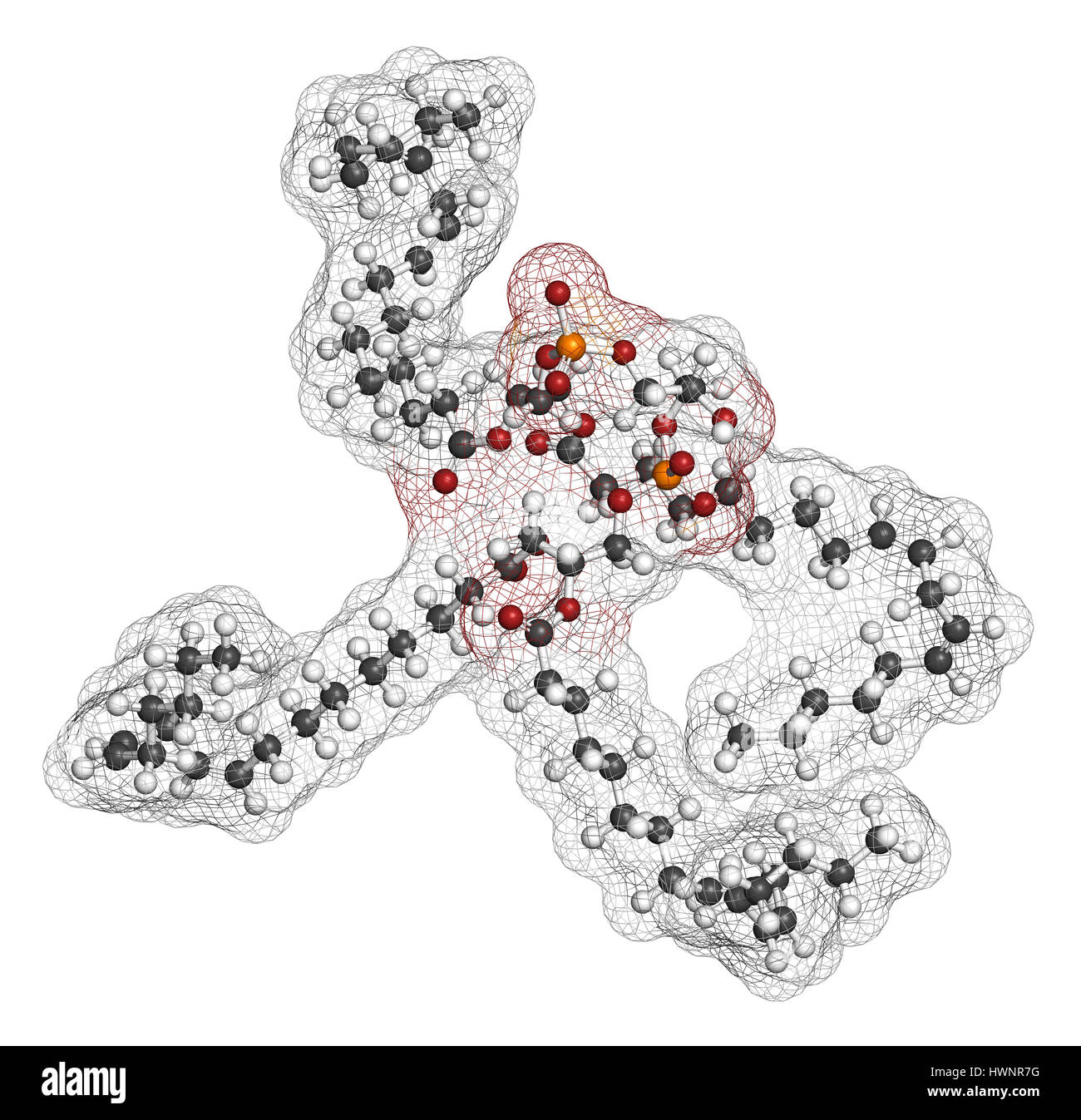 Mitochondria 3d hi-res stock photography and images - Alamy