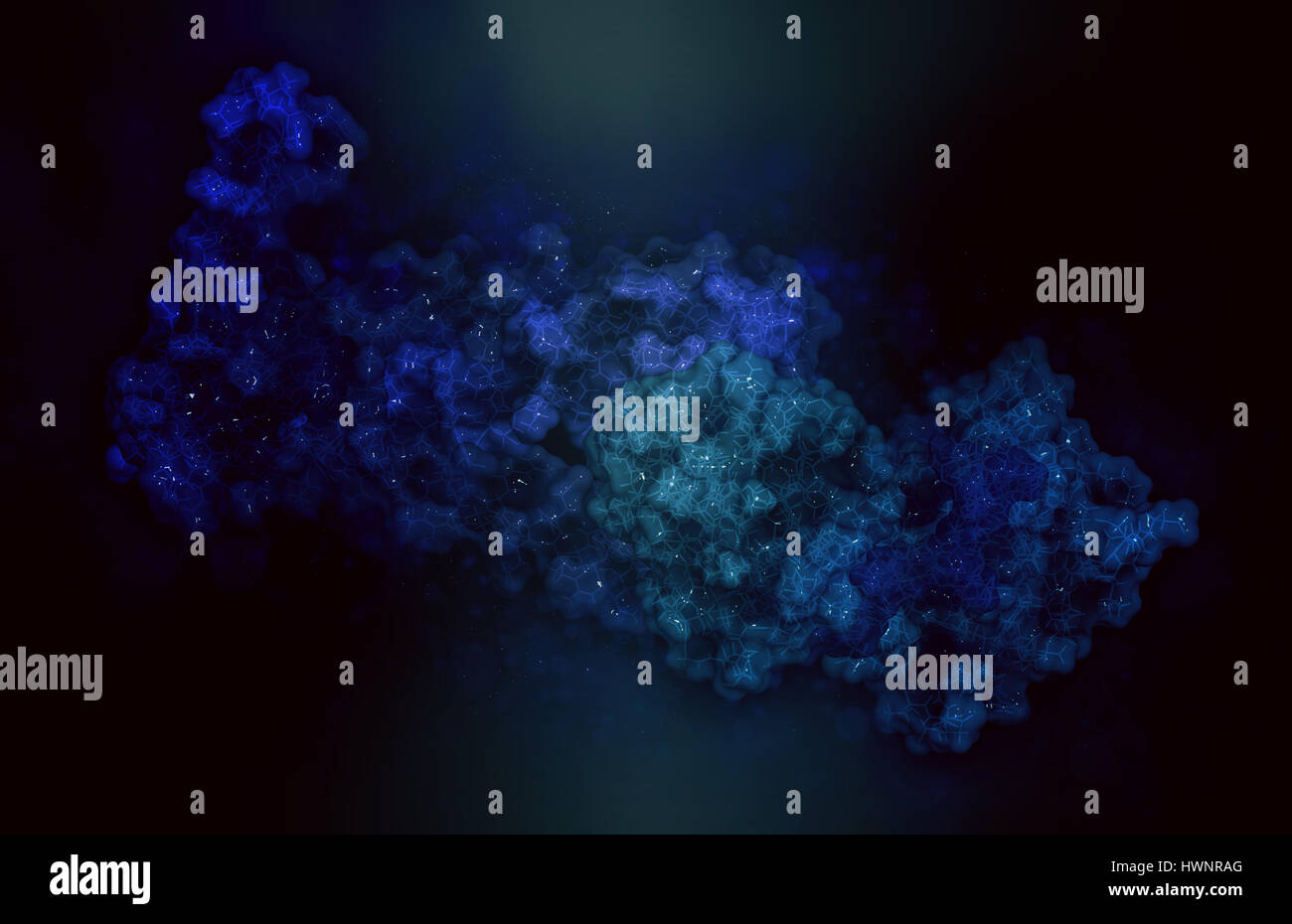 Troponin, 3D rendering: structure of the human cardiac troponin core ...