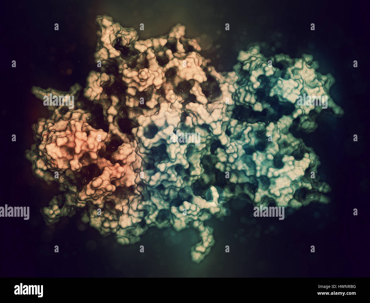 Coagulation factor VIII (fVIII) protein, 3D rendering. Deficiency ...