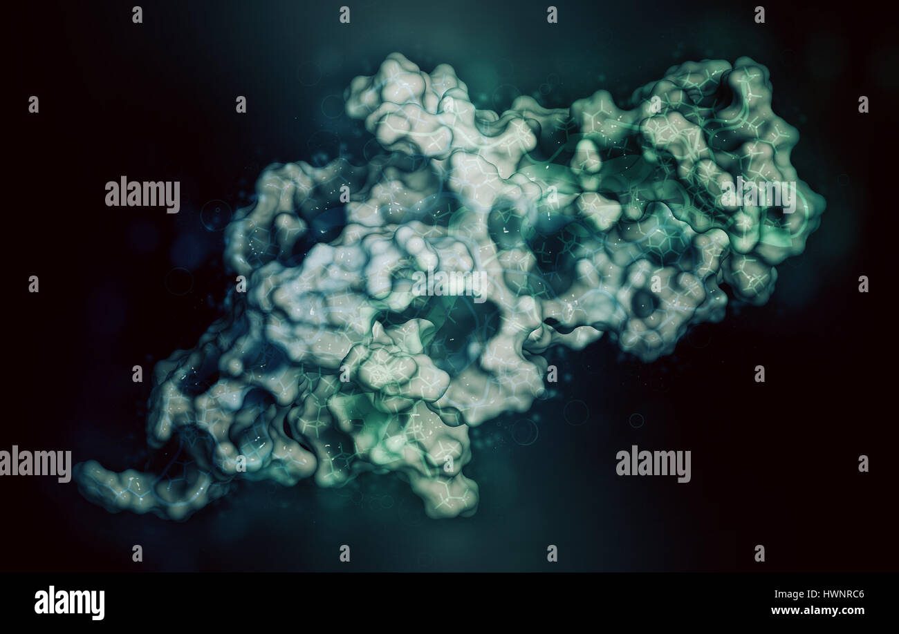 Human Chorionic Gonadotropin (hCG) glycoprotein hormone, 3D rendering ...