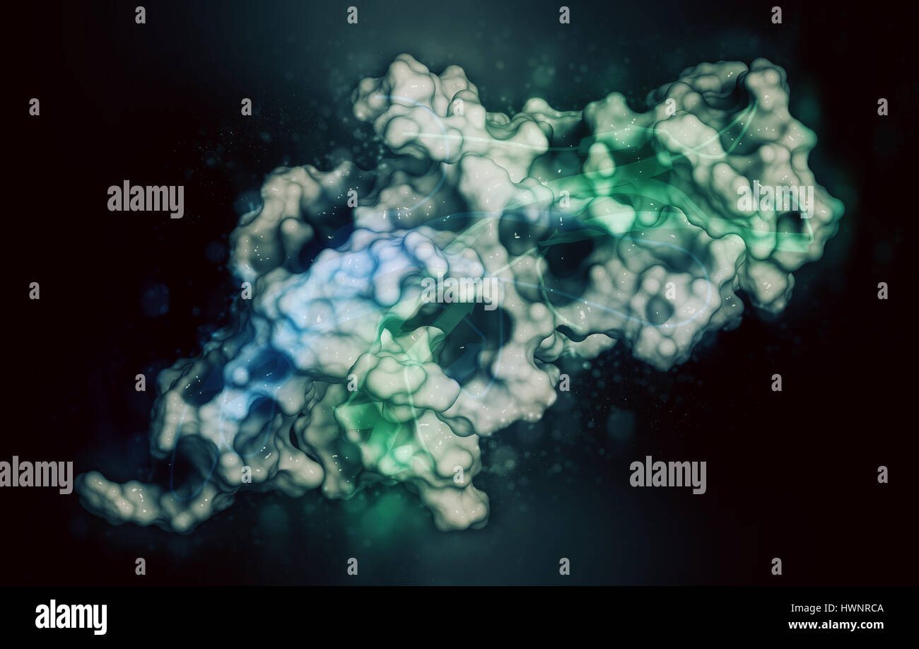 Human Chorionic Gonadotropin (hCG) glycoprotein hormone, 3D rendering ...