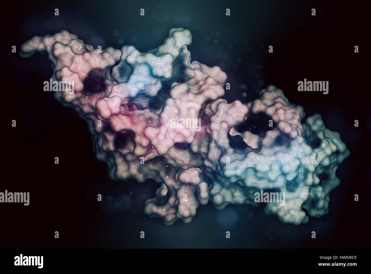 Human Chorionic Gonadotropin (hCG) glycoprotein hormone, 3D rendering ...