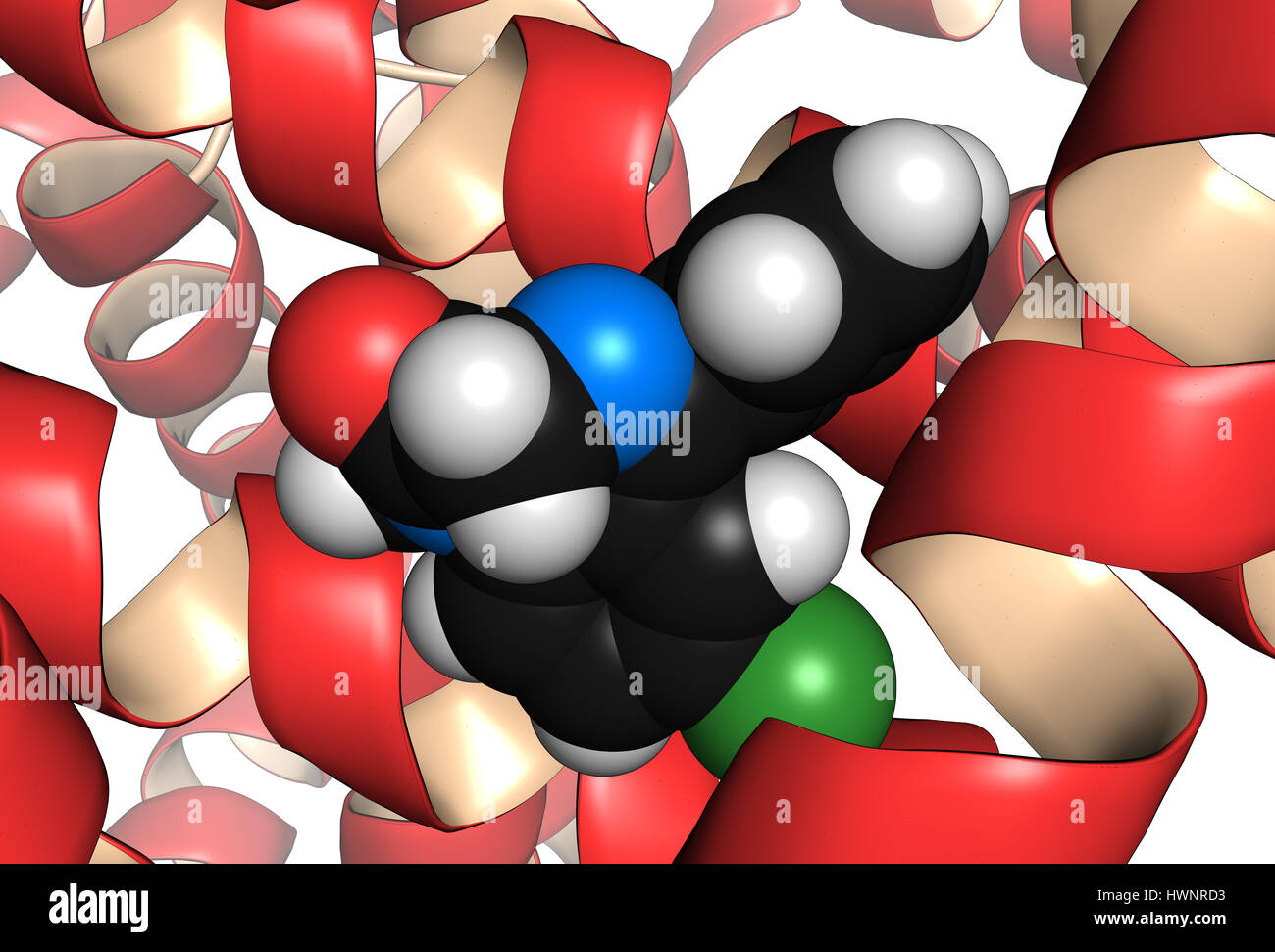 Diazepam drug molecule bound to human serum albumin protein, 3D ...