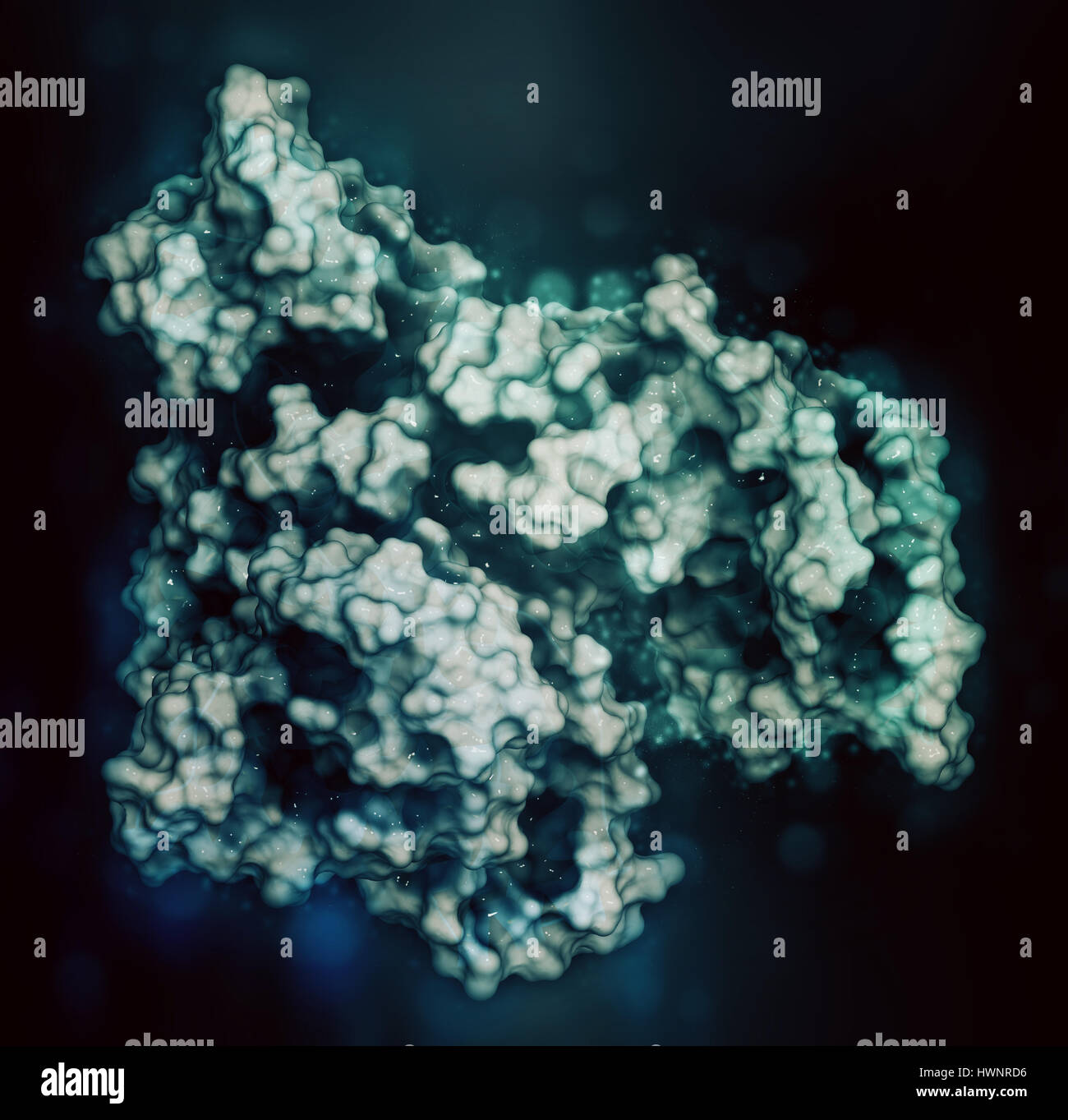 Albumin molecule High Resolution Stock Photography and Images - Alamy