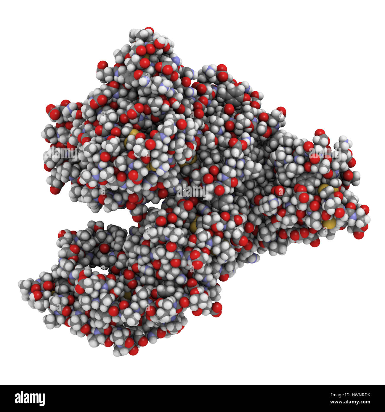 Albumin molecule High Resolution Stock Photography and Images - Alamy