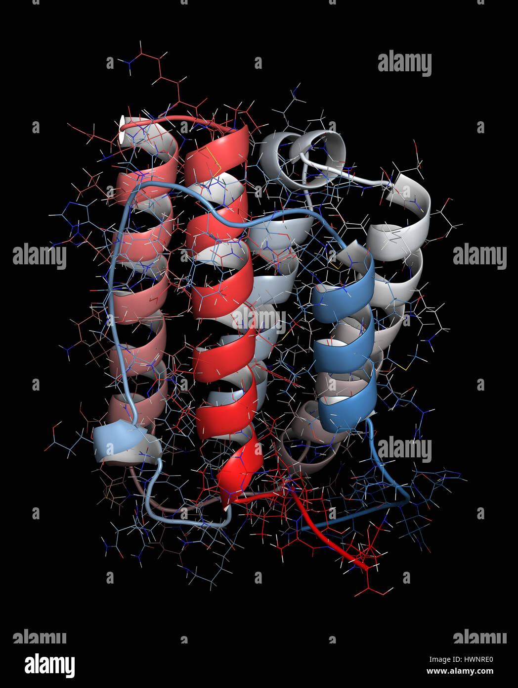 Interferon alpha 2a (IFNA2) molecule, 3D rendering. Pegylated analogs ...