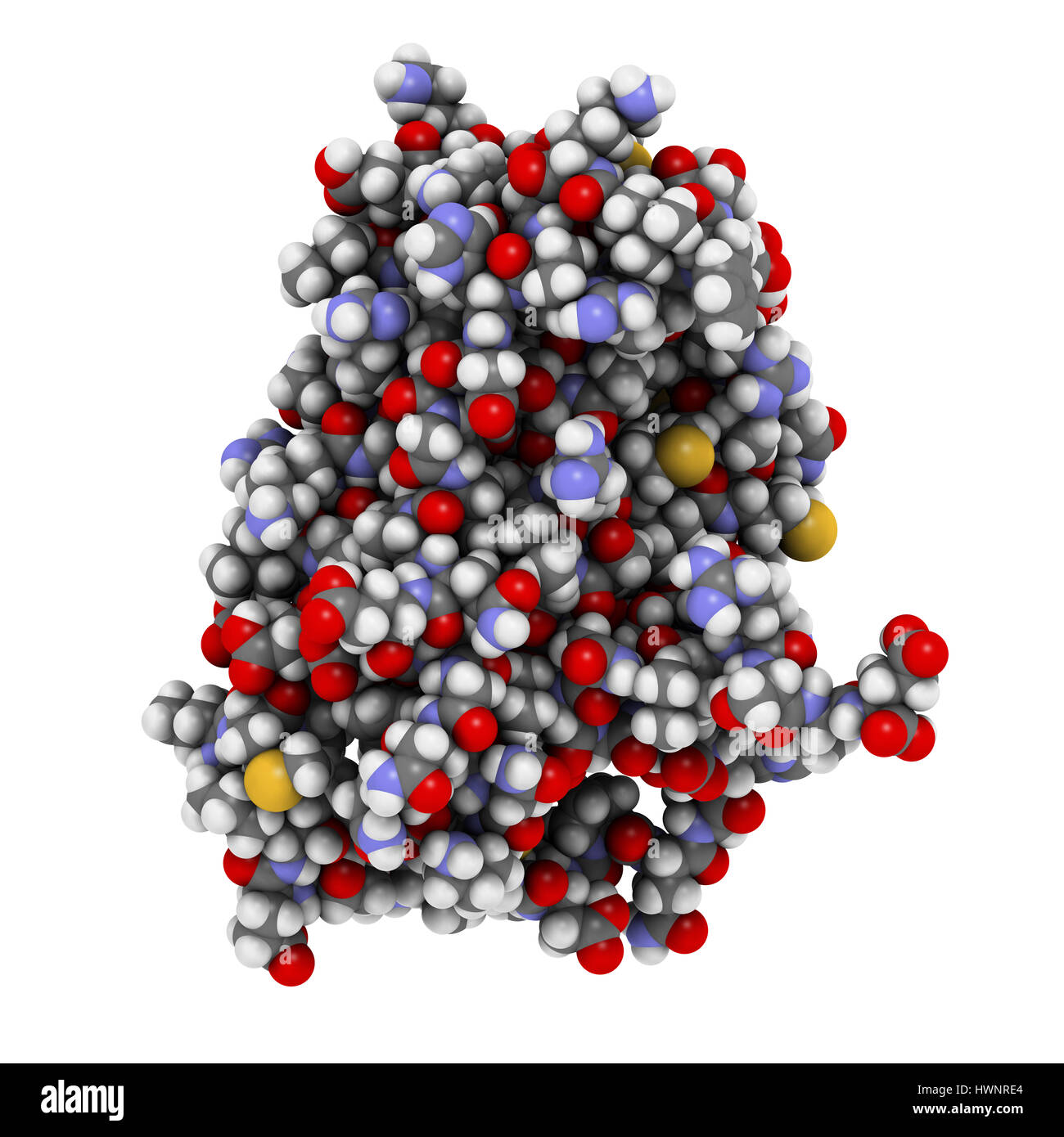 Interferon alpha 2a (IFNA2) molecule, 3D rendering. Pegylated analogs ...