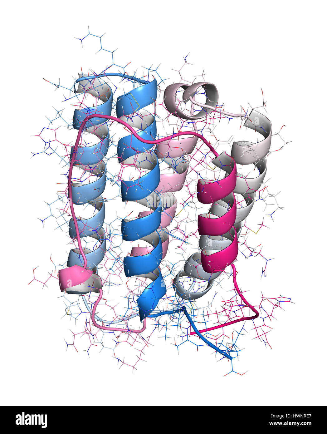 Interferon alpha 2a (IFNA2) molecule, 3D rendering. Pegylated analogs ...