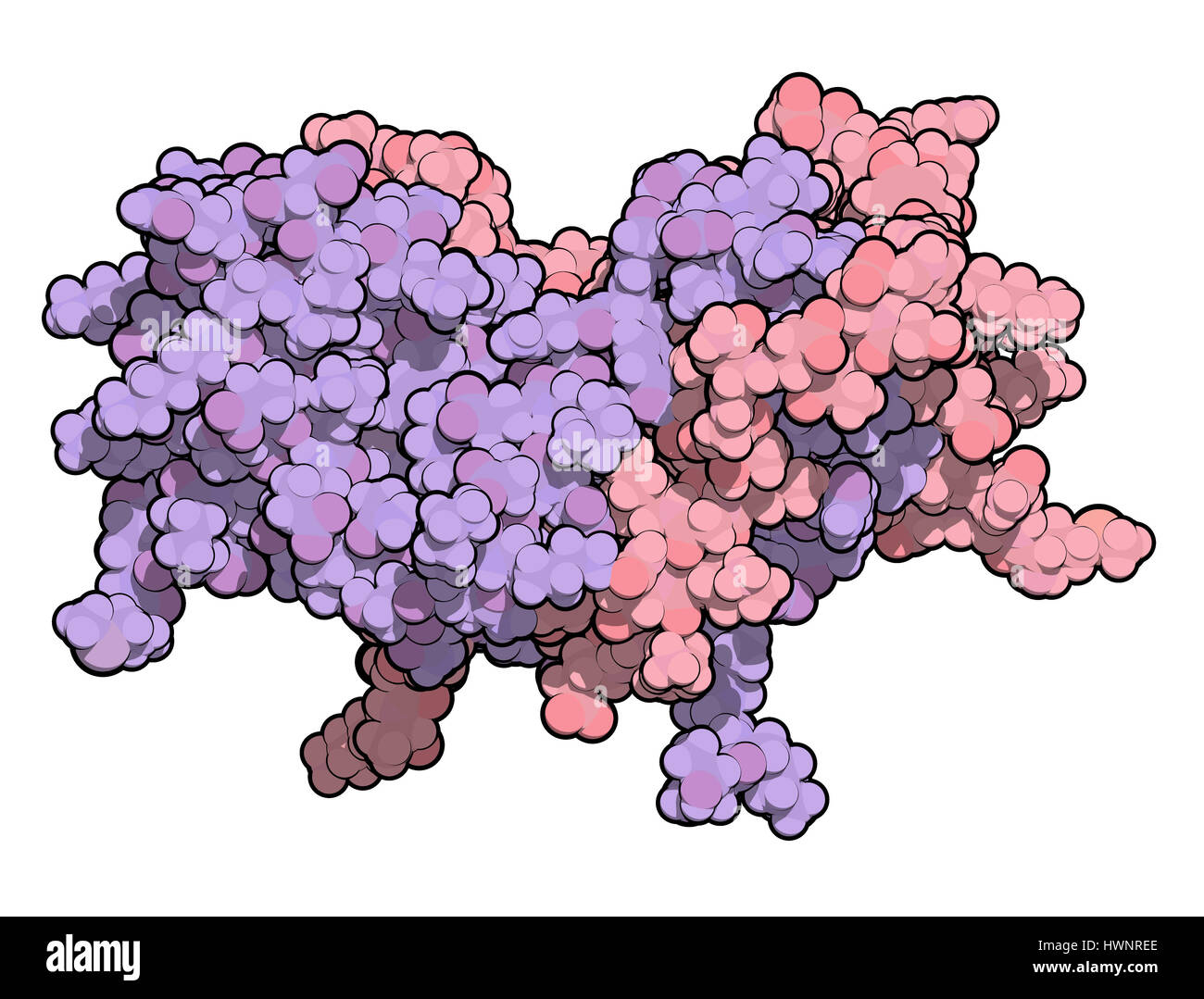 Interferon gamma (IFNg) cytokine molecule, 3D rendering. Recombinant ...