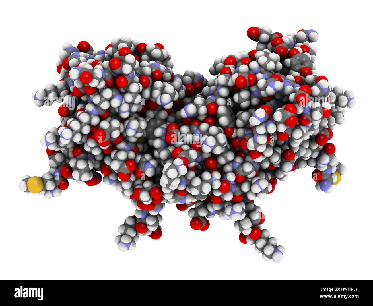 Interferon Gamma Stock Photos & Interferon Gamma Stock Images - Alamy