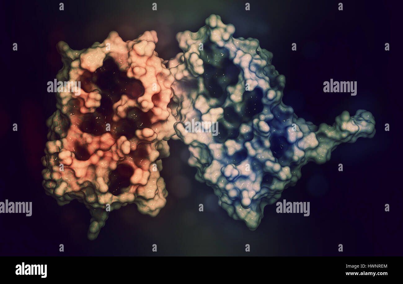 Interferon hi-res stock photography and images - Alamy