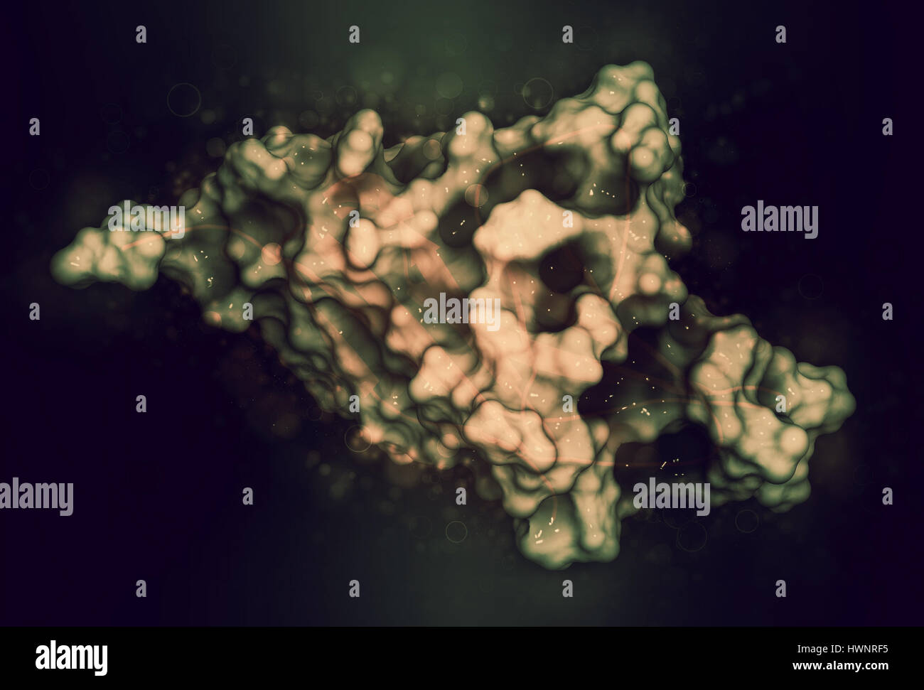 Programmed cell death 1 (PD-1, CD279) receptor protein, 3D rendering ...
