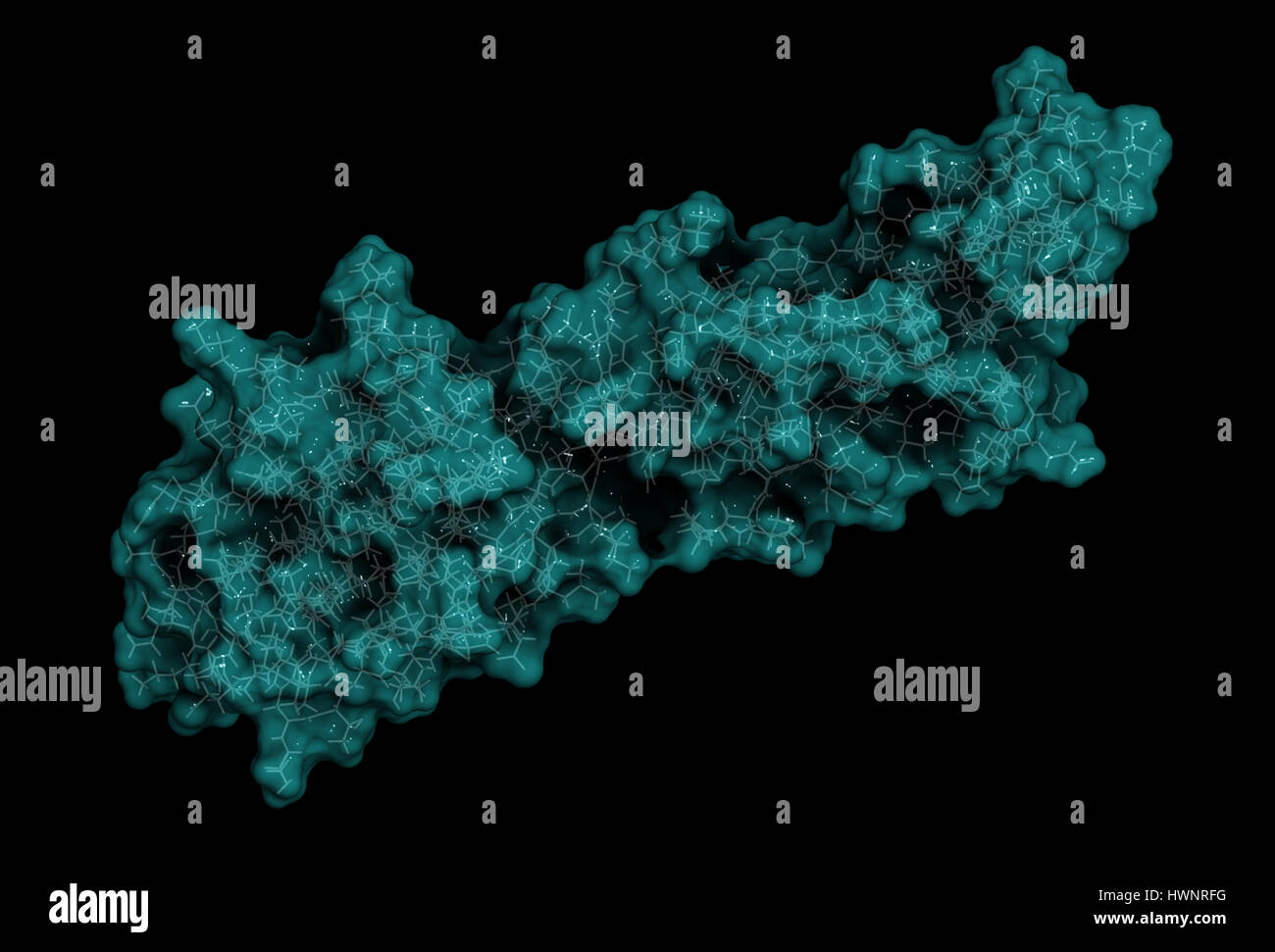 Programmed Death Ligand 1 Pd L1 Protein 3d Rendering Produced By