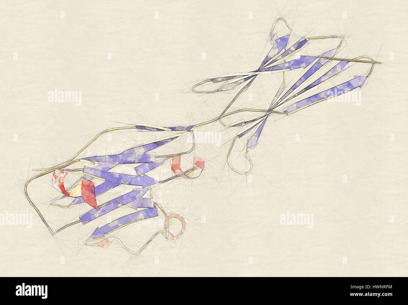 Programmed Death Ligand 1 Pd L1 Protein 3d Rendering Produced By