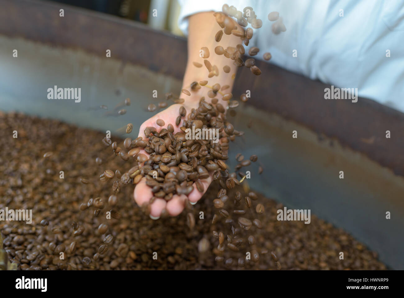 Hand tossing coffee beans into the air Stock Photo - Alamy