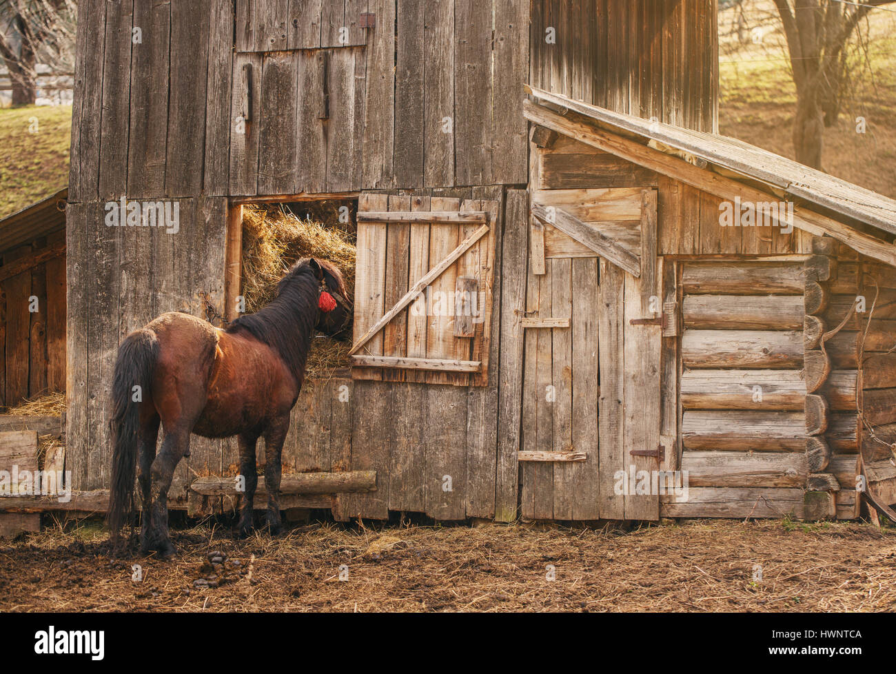 Rustic stable interior hi-res stock photography and images - Alamy